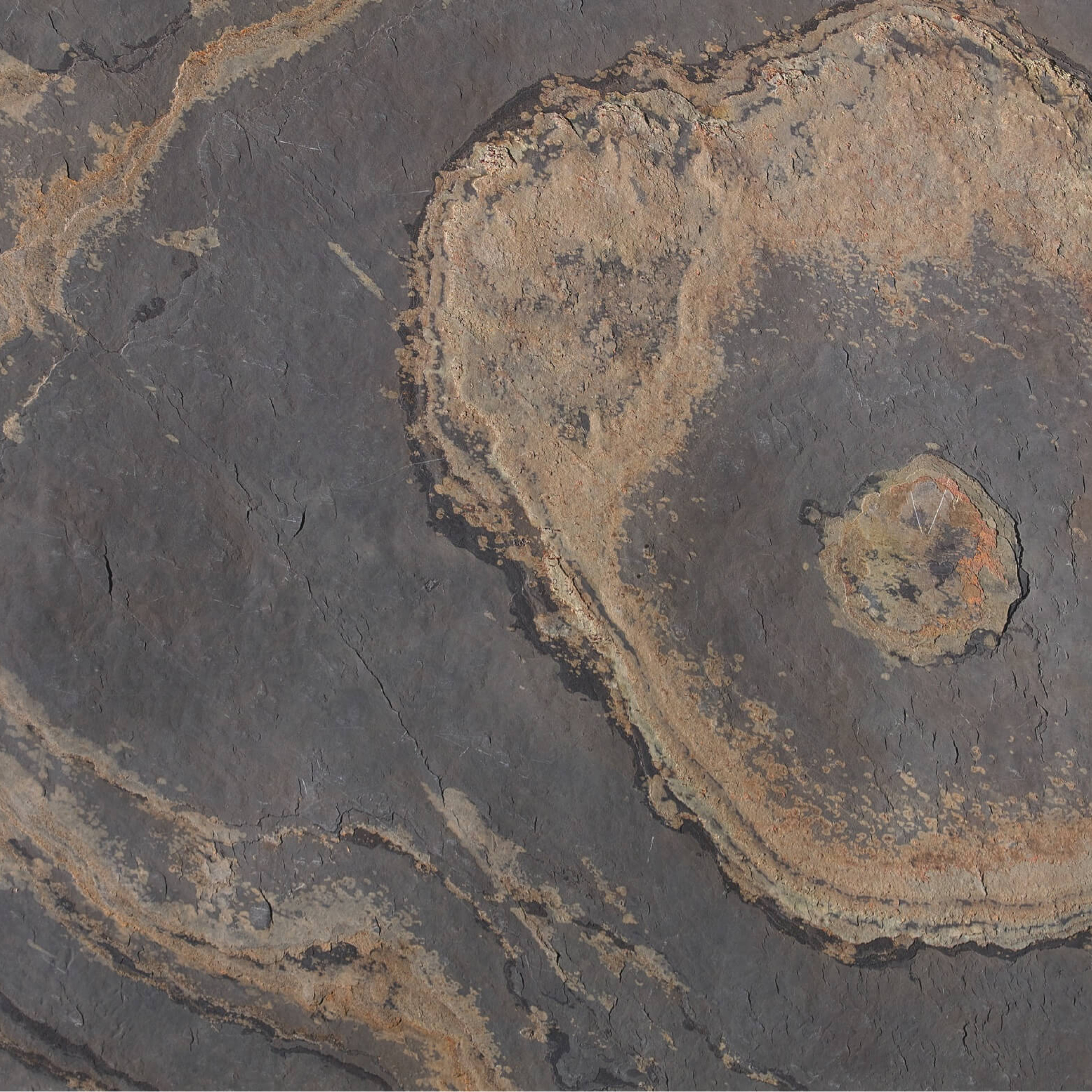 Stoneable | Nature redefined